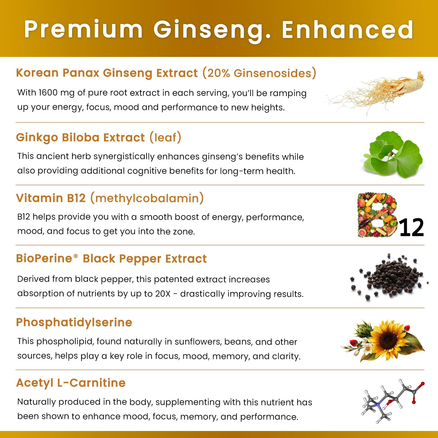 panax ginseng for stress relief