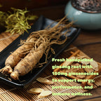 panax ginseng for stress relief