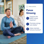 panax ginseng for stress relief