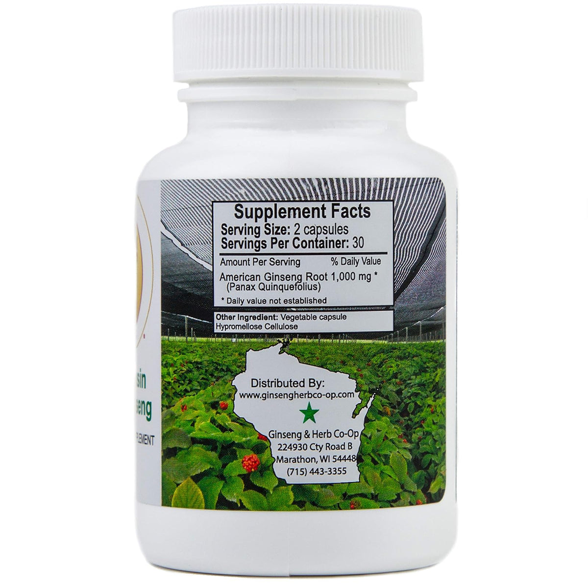 panax ginseng for stress relief