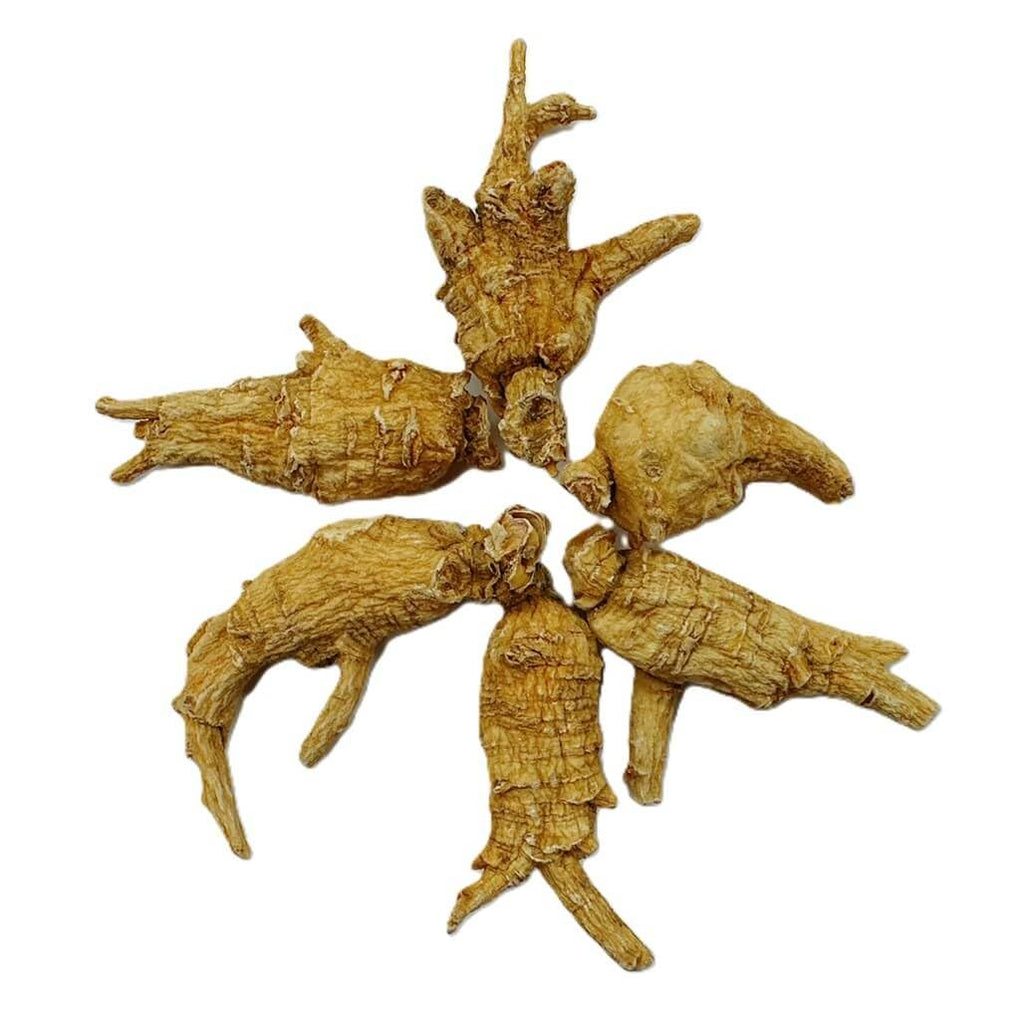 panax ginseng for stress relief