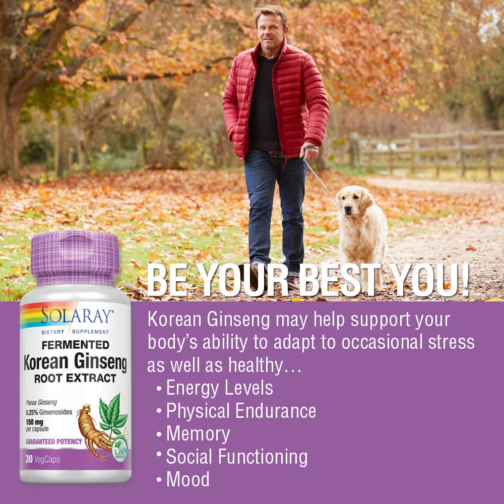 panax ginseng for wellness