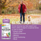 panax ginseng for wellness