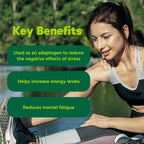 panax ginseng health benefits
