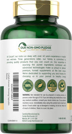Panax ginseng health benefits