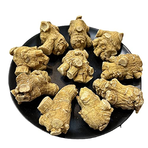 Panax ginseng root benefits