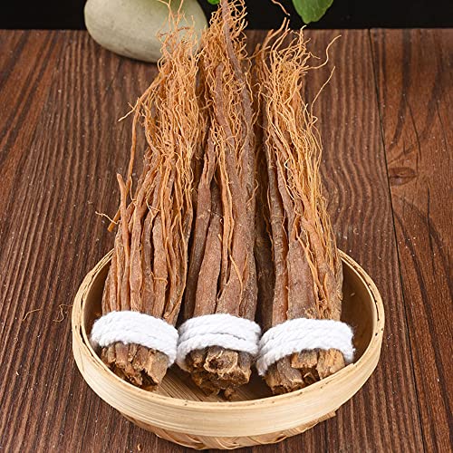 panax ginseng root extract advantages