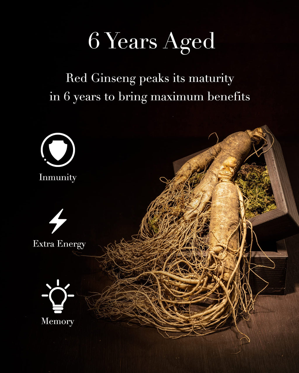 panax ginseng root extract drink