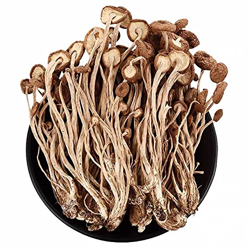 panax ginseng root extract tea
