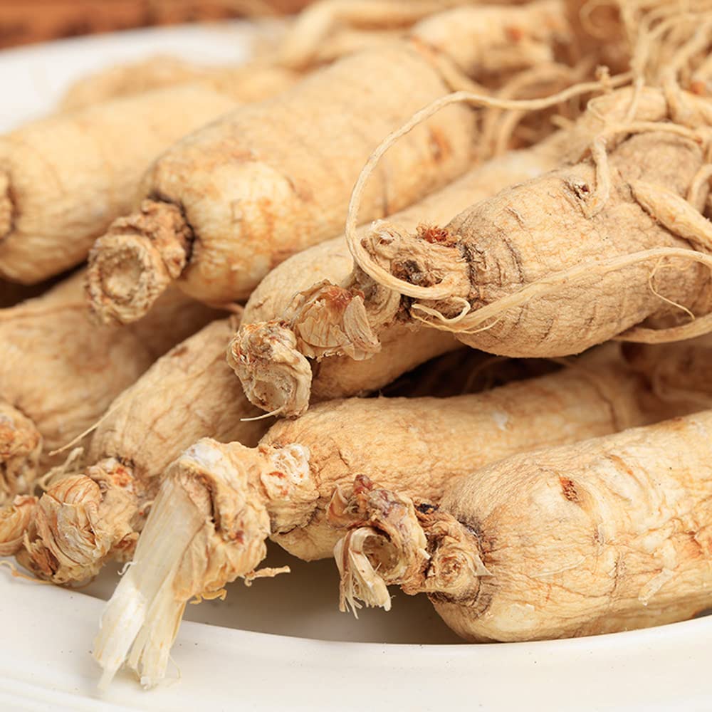 panax ginseng root extract uses
