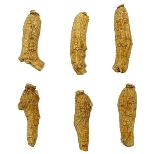 panax ginseng root for immunity