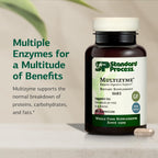 pancreatic enzyme support for digestion