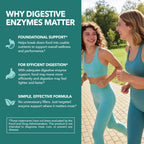 Pancreatic enzymes for gut wellness