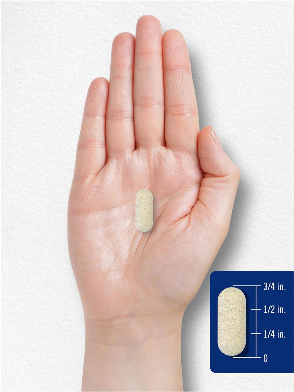 pancreatin for digestive comfort and relief