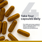 PancreVen multivitamin for digestive health