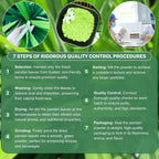 Pandan powder for baking recipes