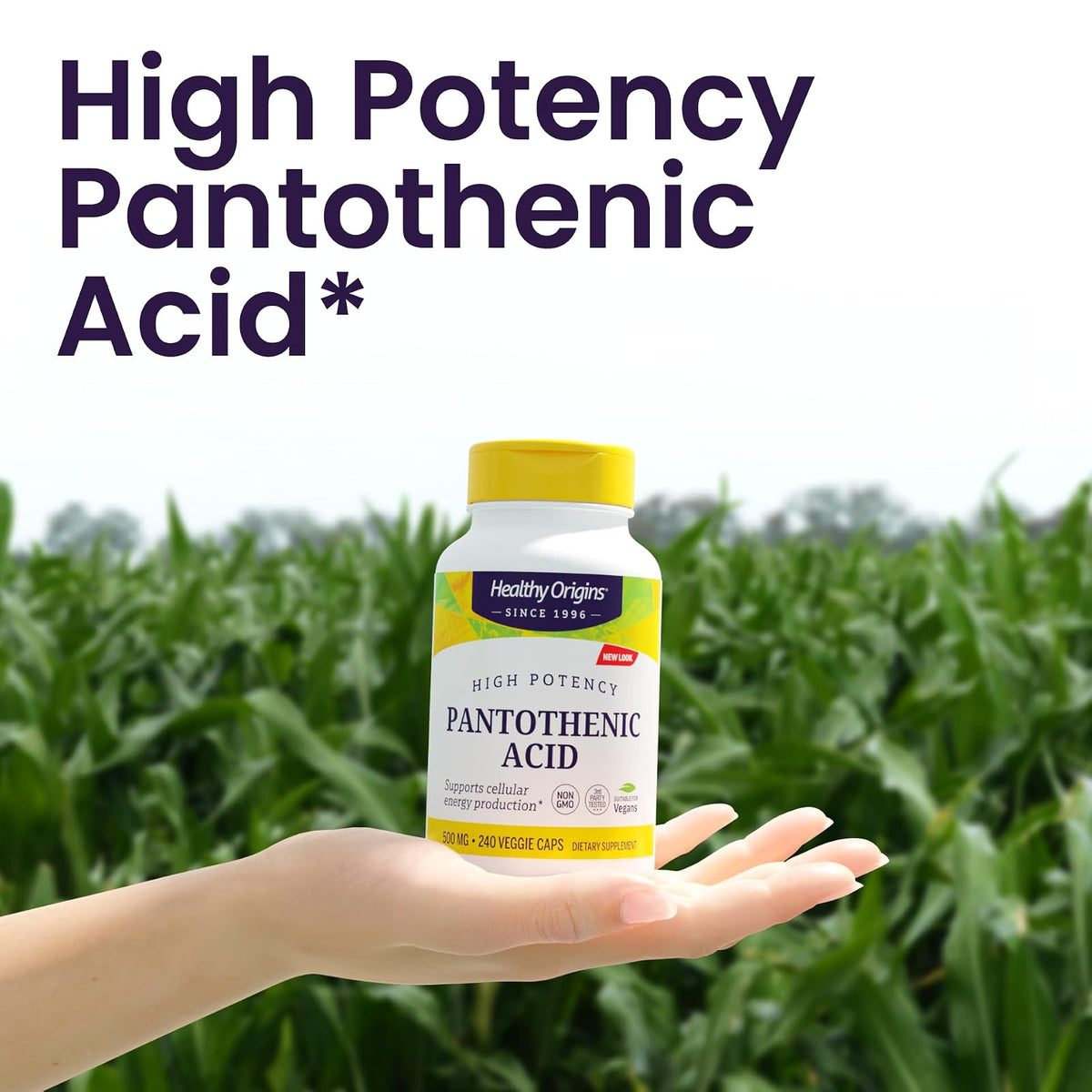 Pantothenic acid for energy support