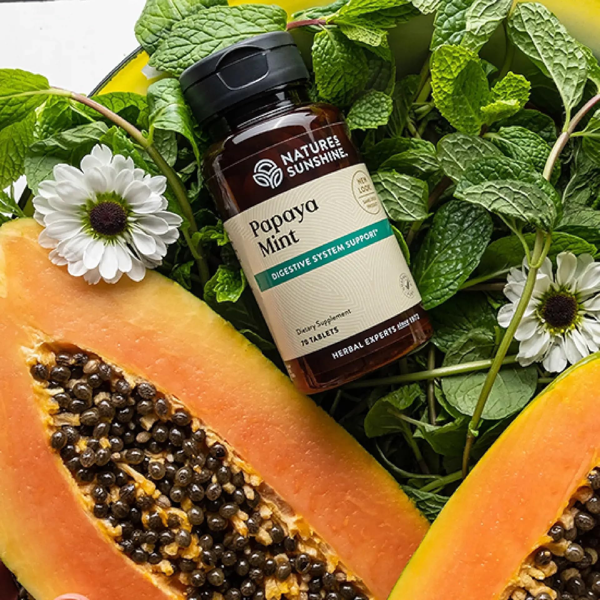 papain and peppermint blend
