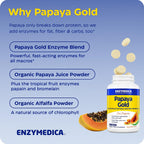 Papaya Gold digestive enzymes for bloating
