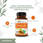 papaya leaf extract for wellness