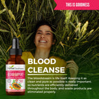 Papaya leaf extract for wellness