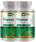 Papaya leaf extract health benefits