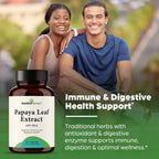 Papaya leaf for digestive health