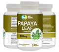 Papaya Leaf multivitamins for energy
