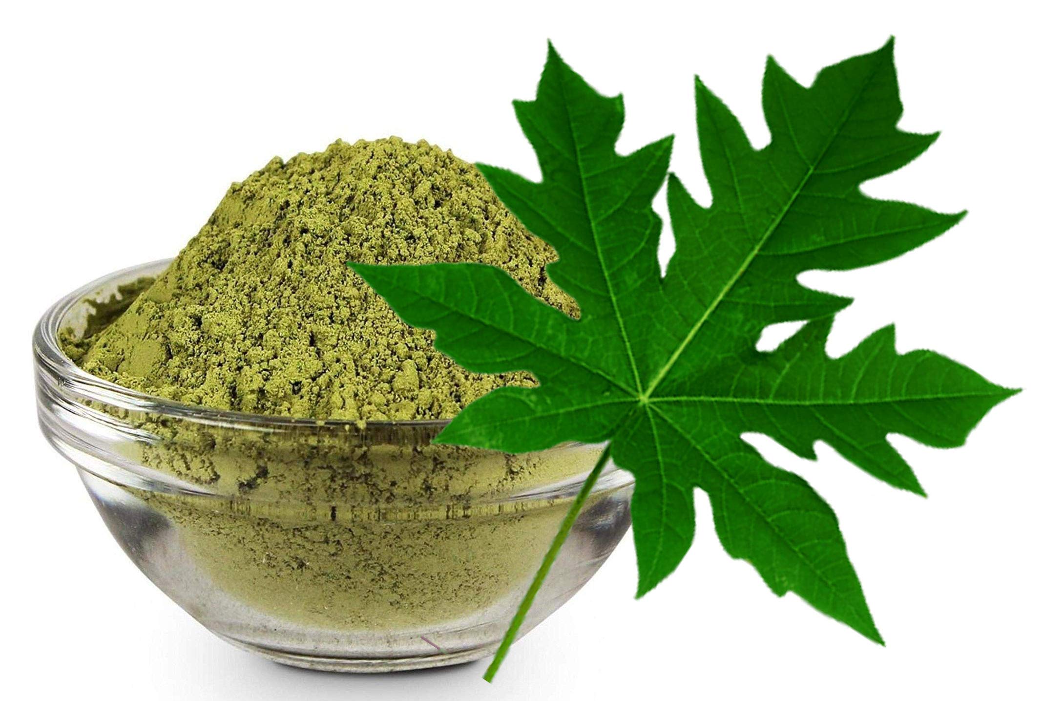 papaya leaf powder for immune support