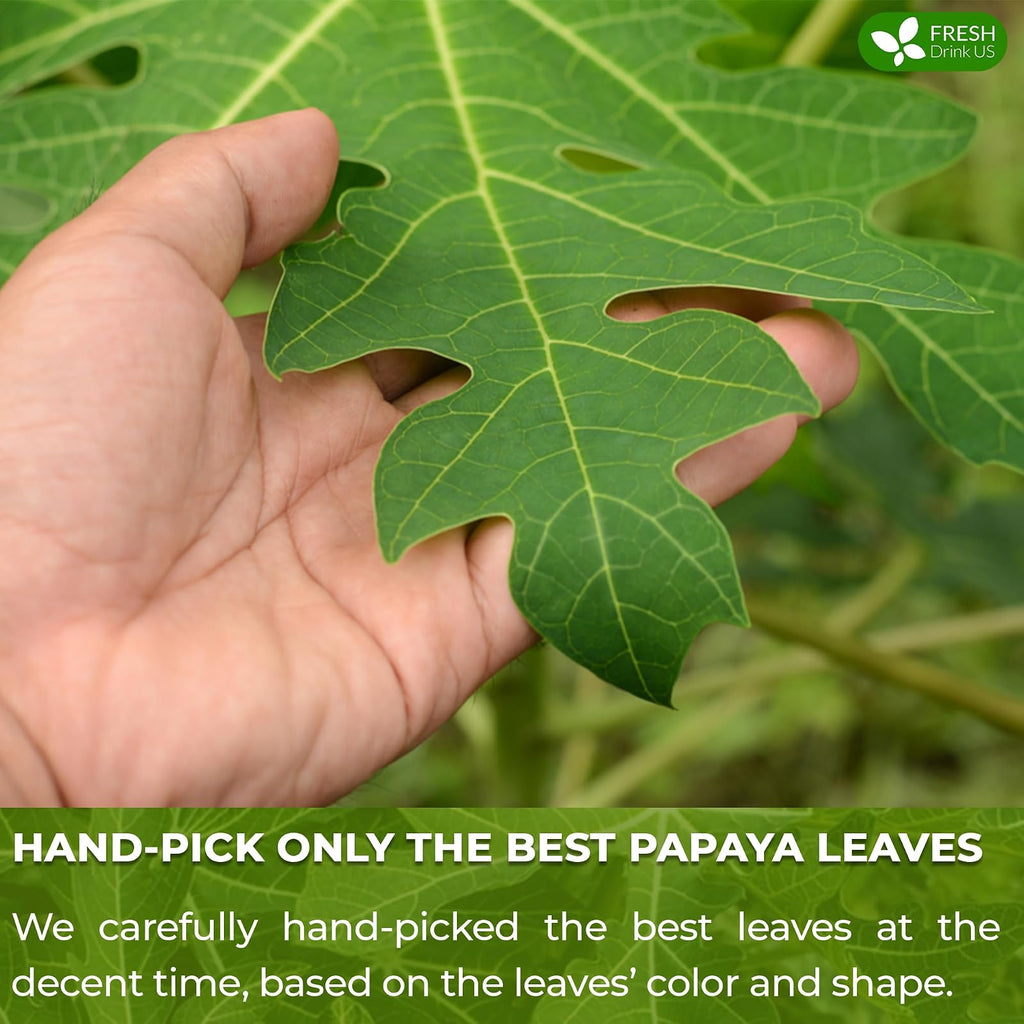 papaya leaf tea for detoxification