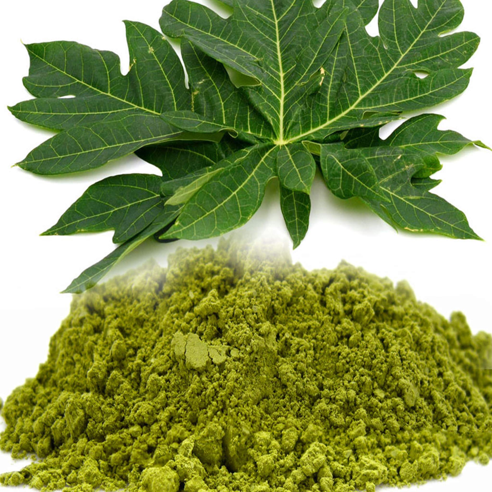 pappali ilai powder for wellness