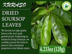 Paradise Beach herbal tea experience