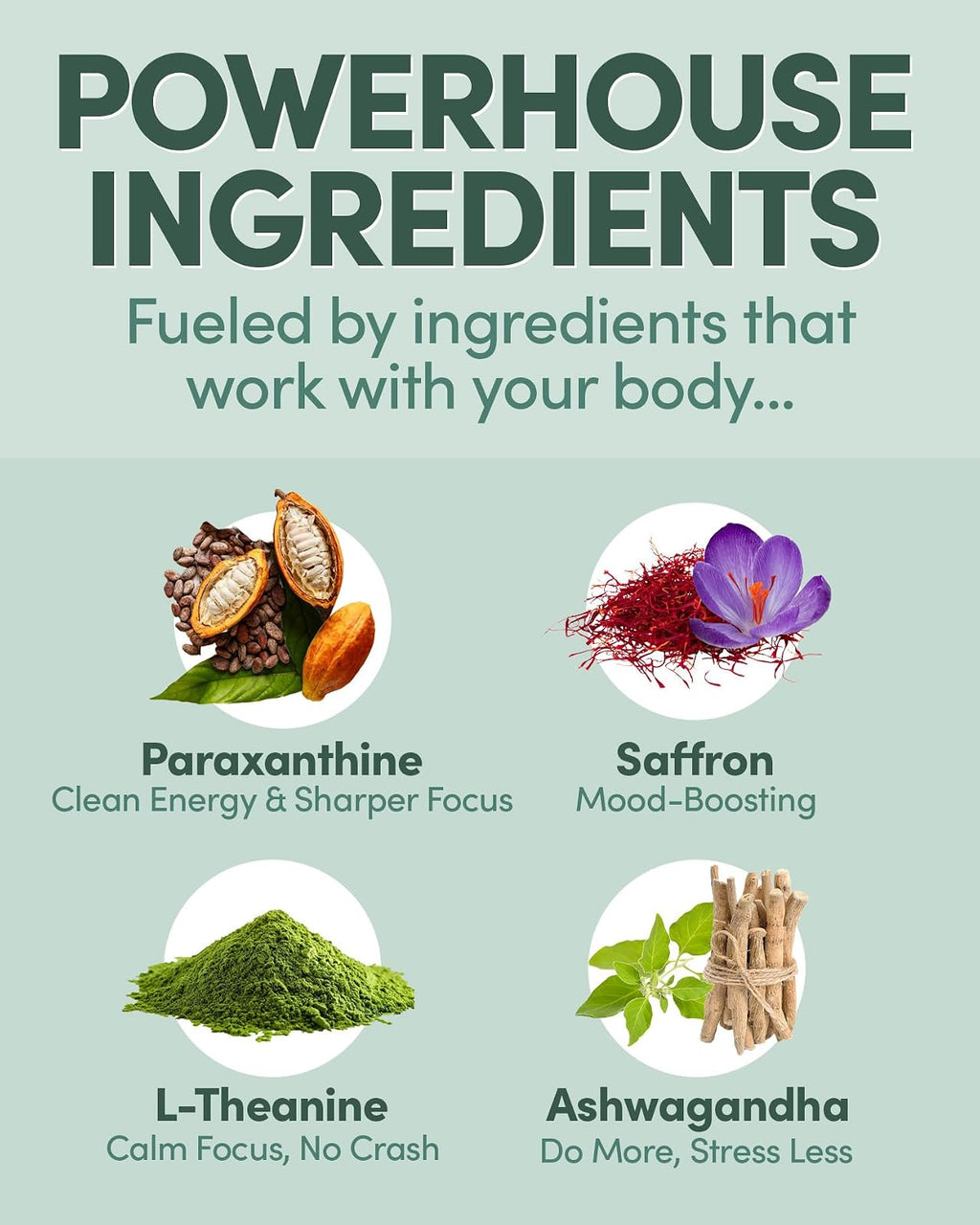 paraxanthine energy boost powder