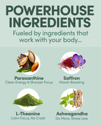 paraxanthine energy boost powder