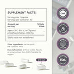 partiQlar choline supplement for focus