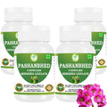 Pashanabheda herbal supplement capsules