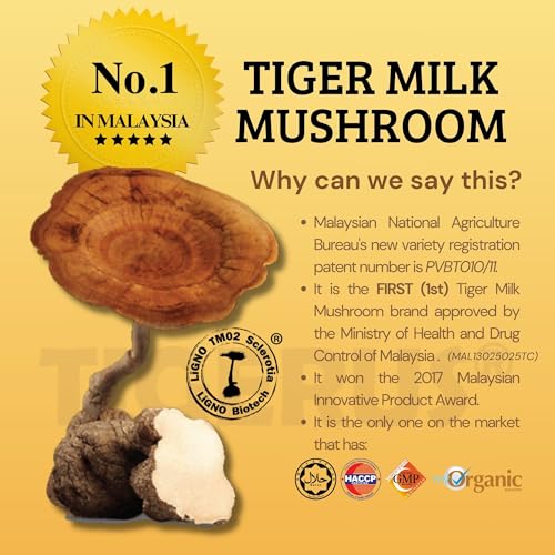passion fruit and mushroom health boost