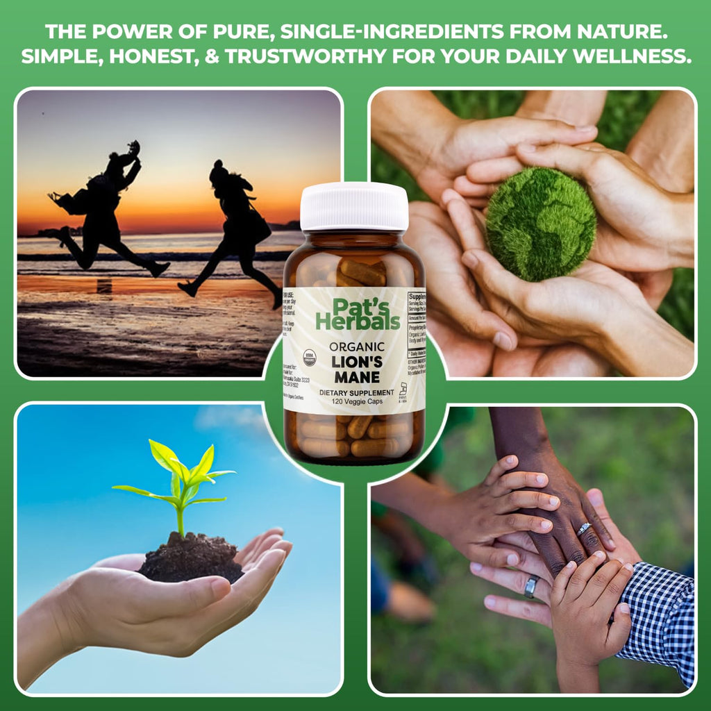 Pat's Herbals Lion's Mane for memory enhancement