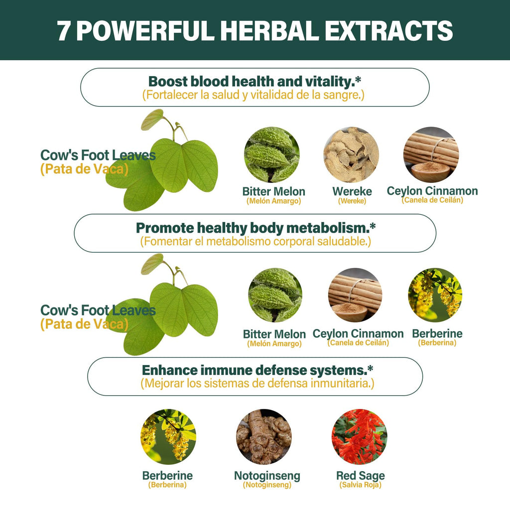 Pata de Vaca capsules for vitality