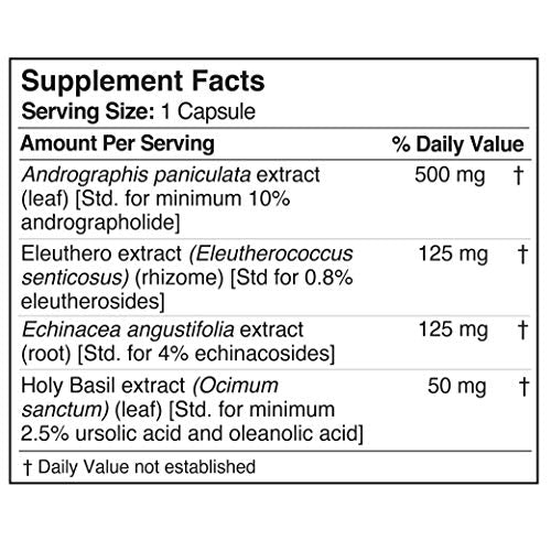 Patient One echinacea health benefits