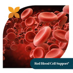 Pattern Wellness vitamin b complex benefits