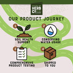 Pau D'Arco tea for wellness