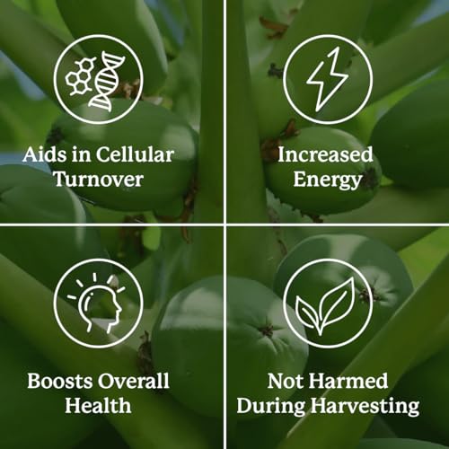 Paw Paw capsules for vitality boost