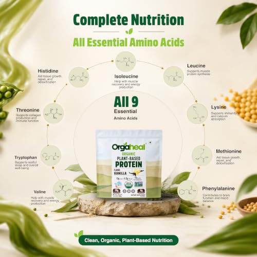 pea protein powder for muscle gain