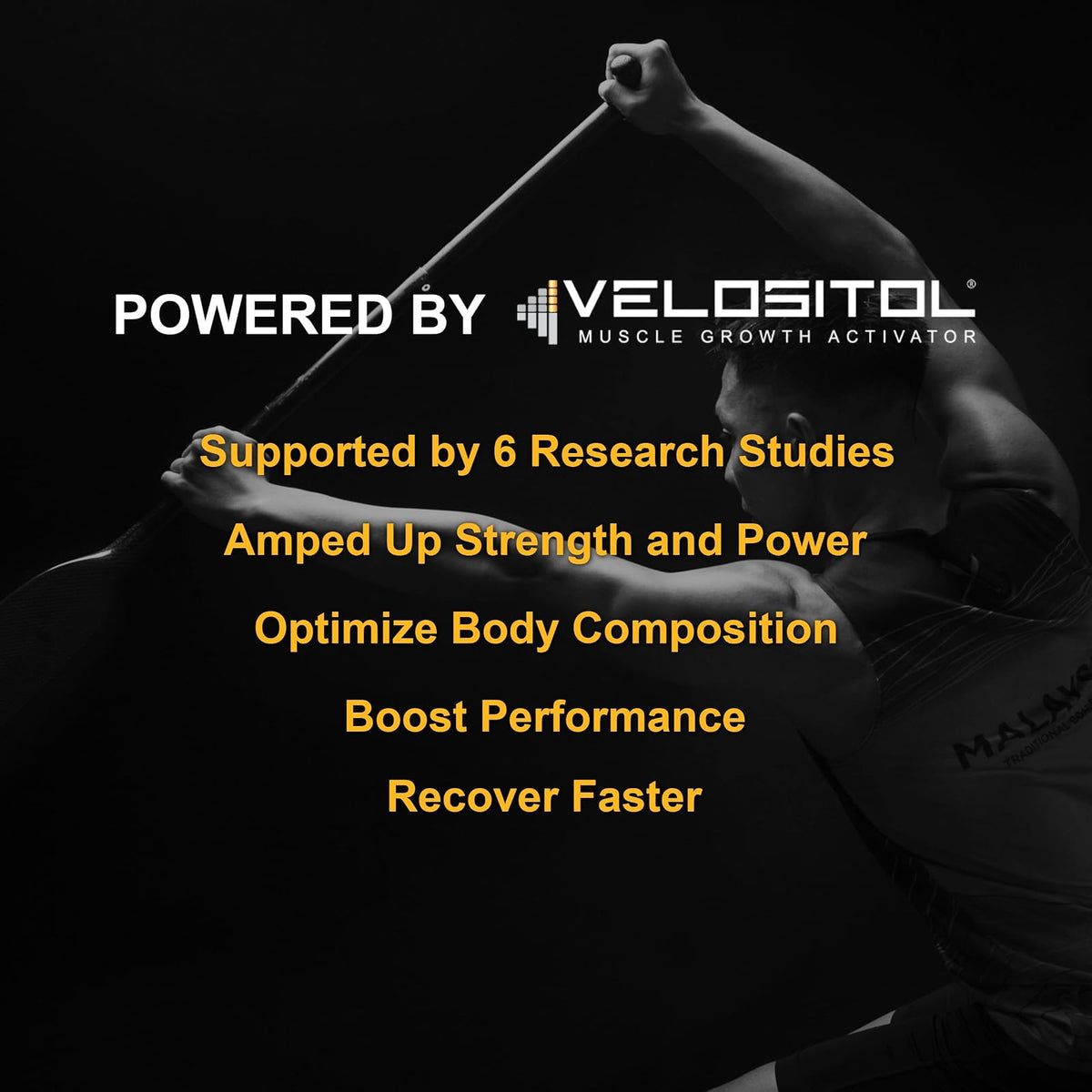 pea protein powder for muscle gain