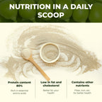 pea protein powder for protein bars