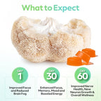 Peach mango lion's mane gummies
