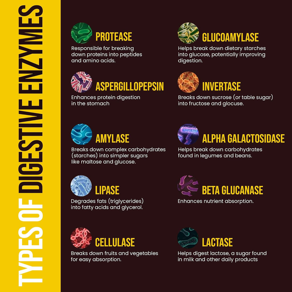 Peak Health multi-enzymes support digestive wellness