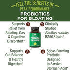 Peak Performance gut health supplement