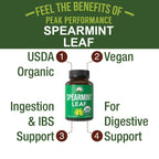 Peak Performance multivitamin for men